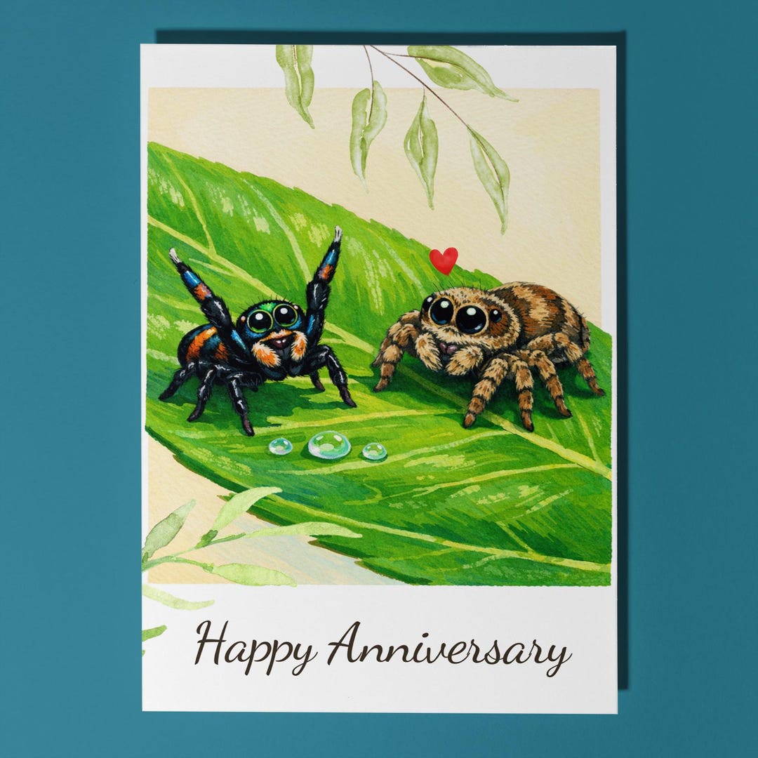Jumping Spider Anniversary Card – Funny Animal Greeting Card - Etsy