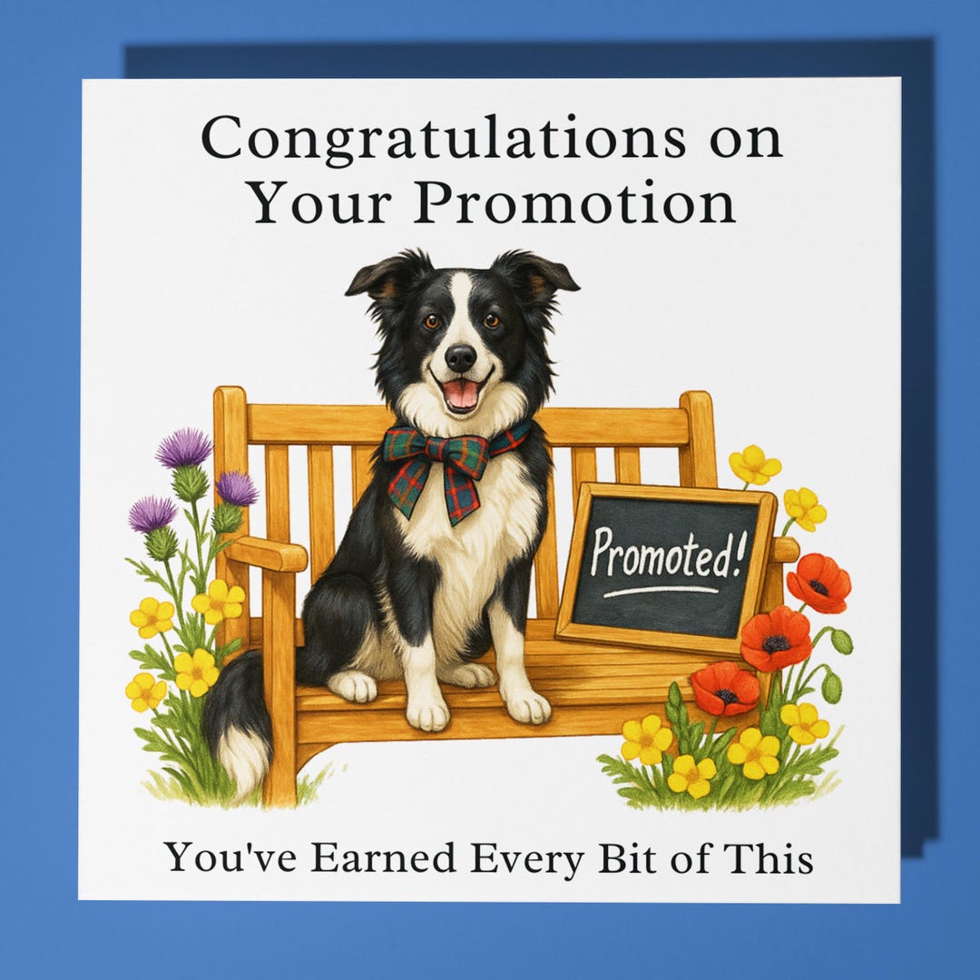 Border Collie - Congratulations on Your Promotion Card - Funny Animal ...