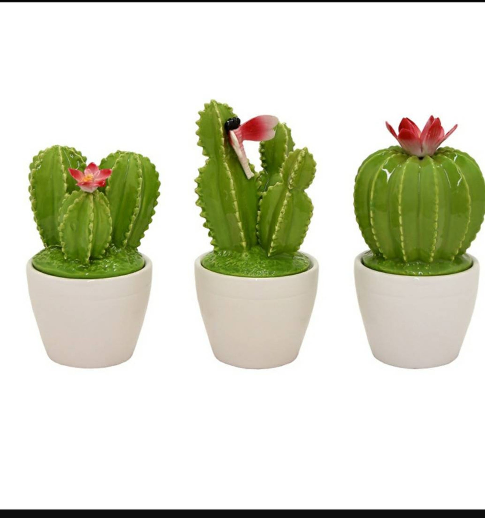 Summer Cactus Kitchen Jar Set With Pink Accent Cactus Decor - Etsy