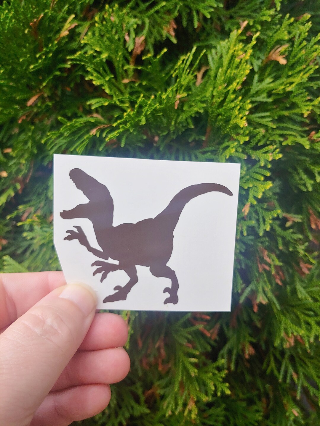 Tiny Velociraptor Vinyl Decal, Small Die Cut Dinosaurs Discoverable ...