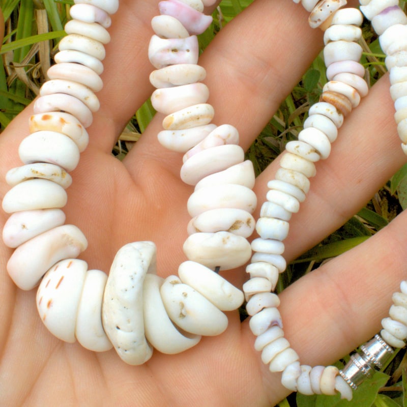 Shell Necklace - Etsy