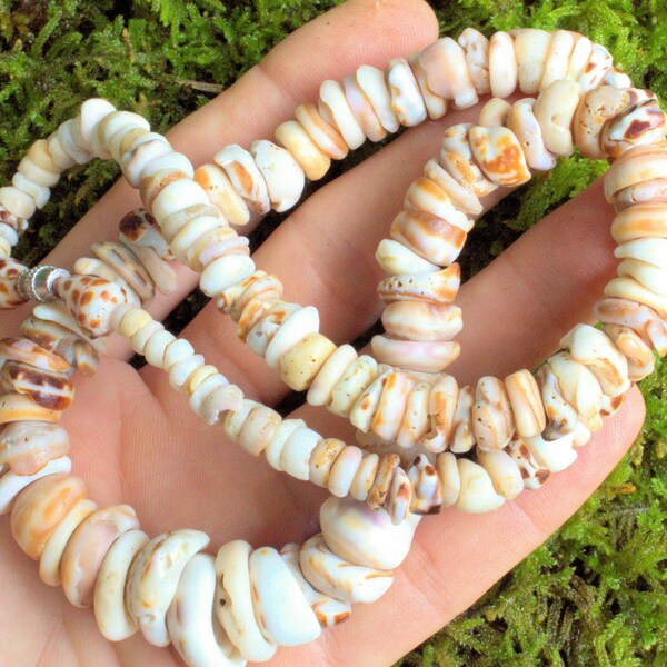 Large Shell Beads - Etsy