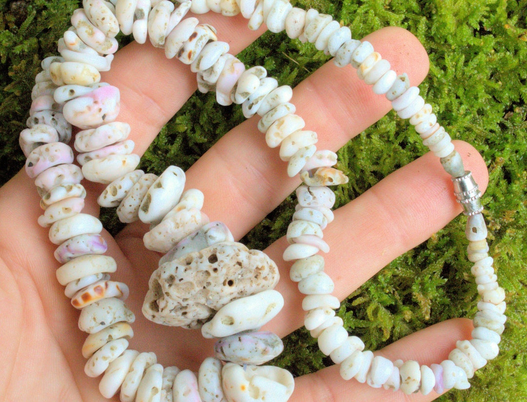 389.35 Tcw. Hawaiian Large Puka Shell Necklace - Gorgeous Beach ...