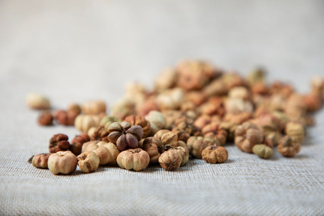 Putka Pods, Mini Pumpkin Decor, Natural Earthy Colored Putka Pods, Bowl ...