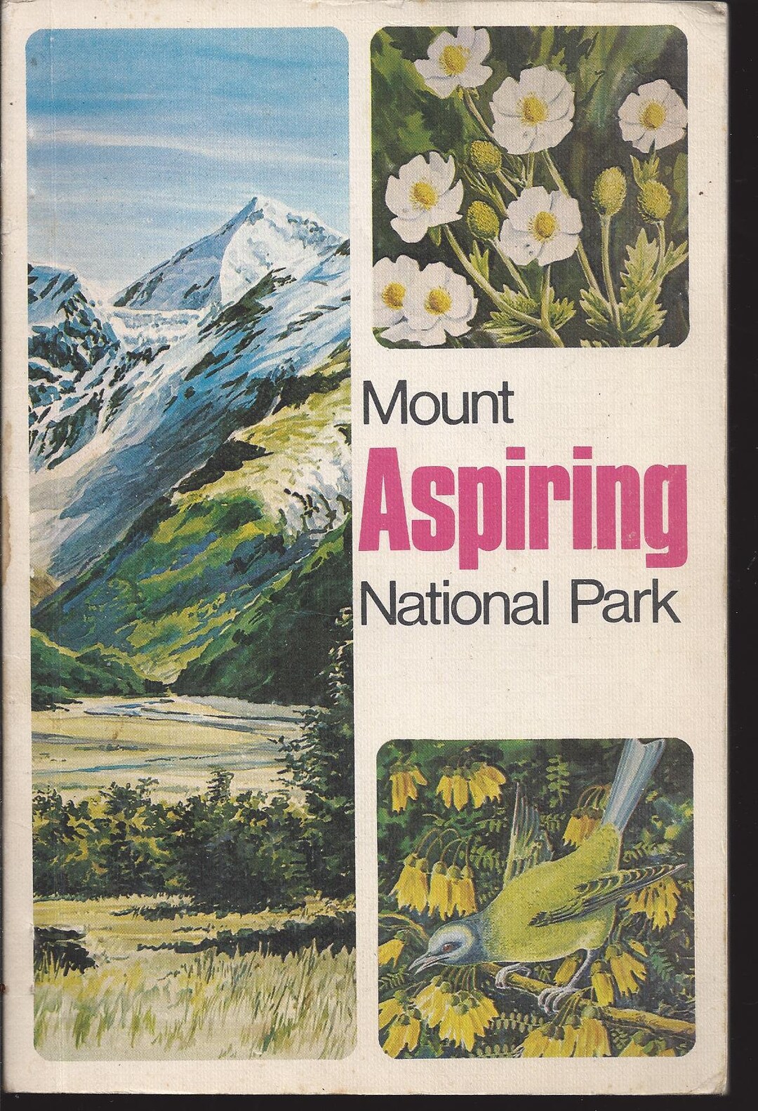 Handbook to the Mount Aspiring National Park Gilkison by W. S. & D. J ...