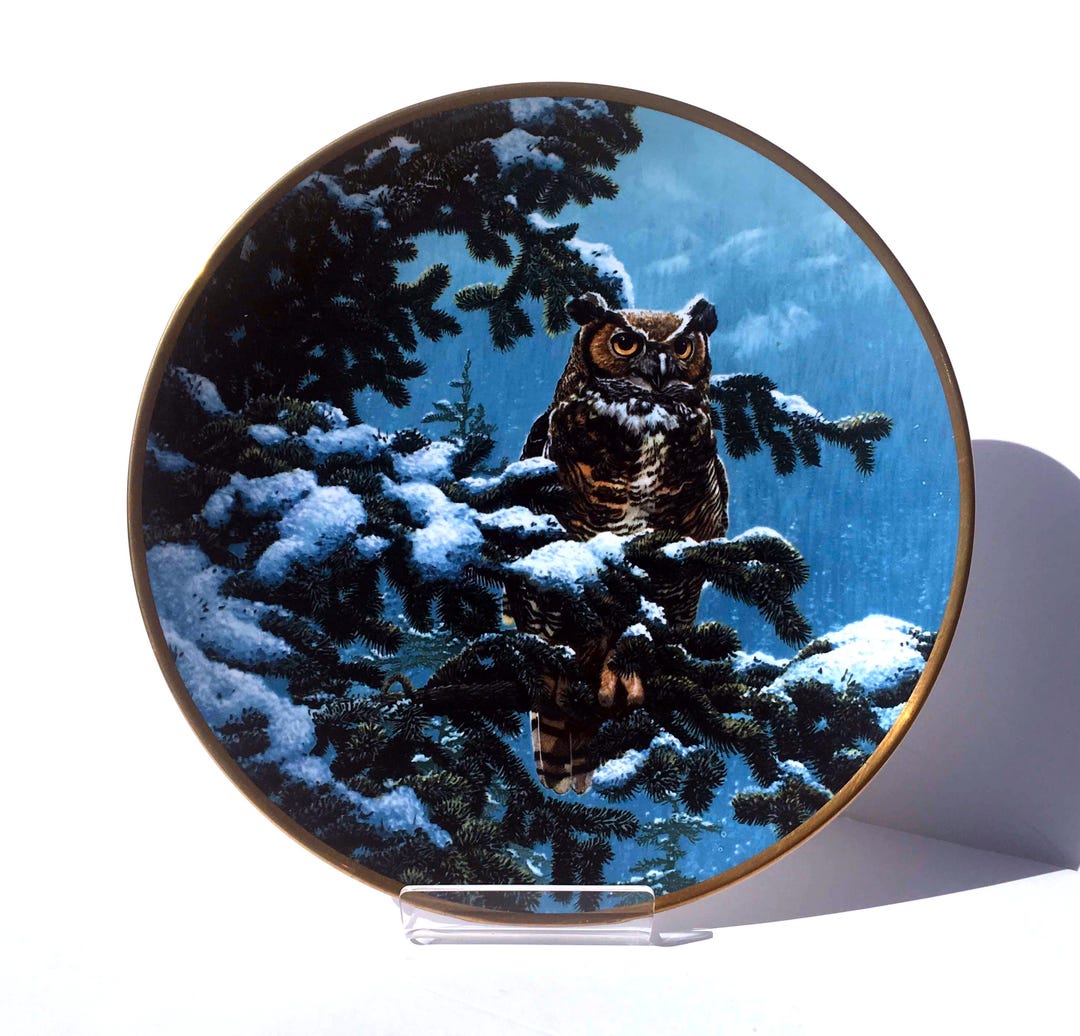 Vintage SPODE Series-ware - Nobel Owls of America - 'winter Vigil ...