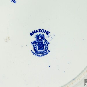 An Antique Petrus Regout Amazone Pattern Dinner Plate - Etsy