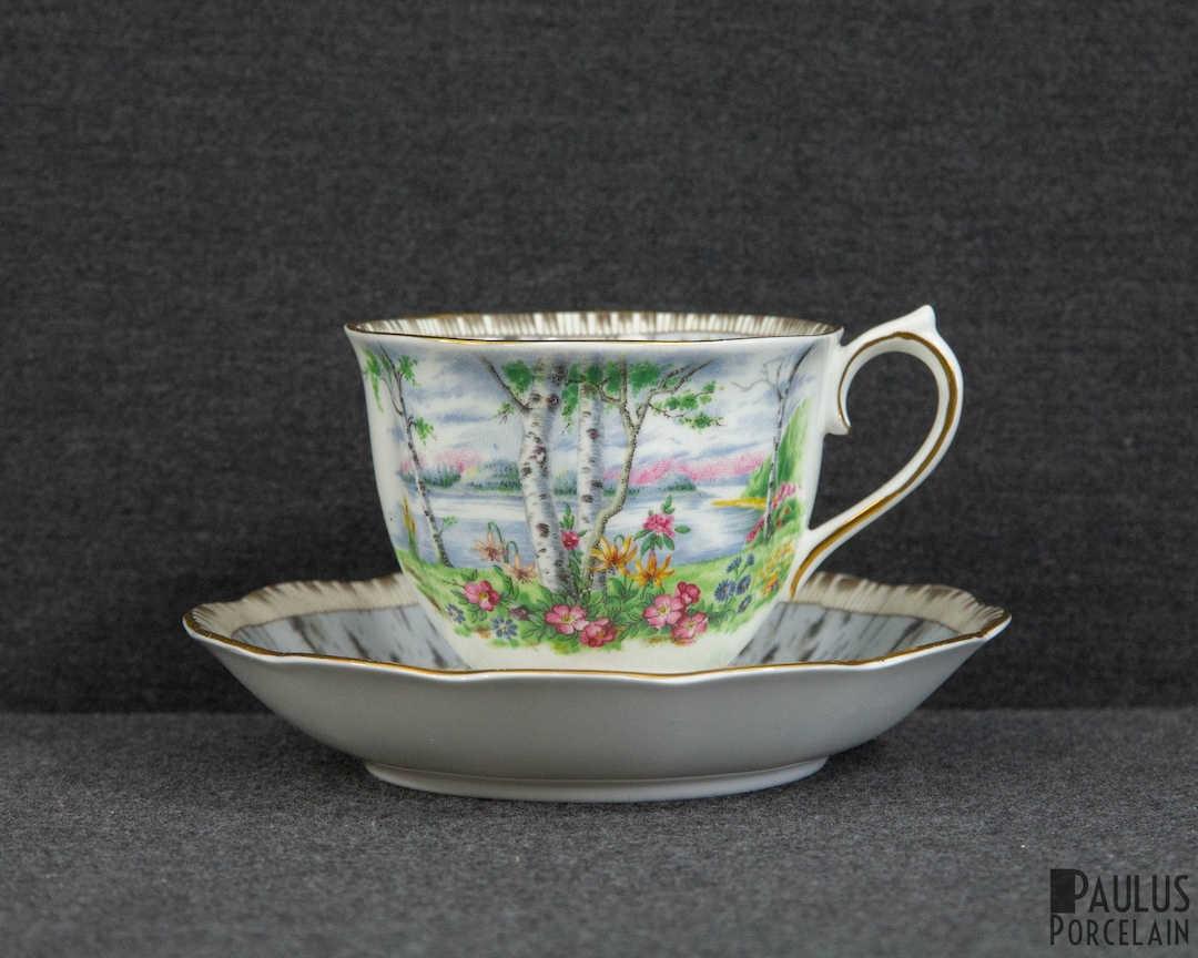 A Royal Albert Silver Birch Teacup and Saucer - Etsy