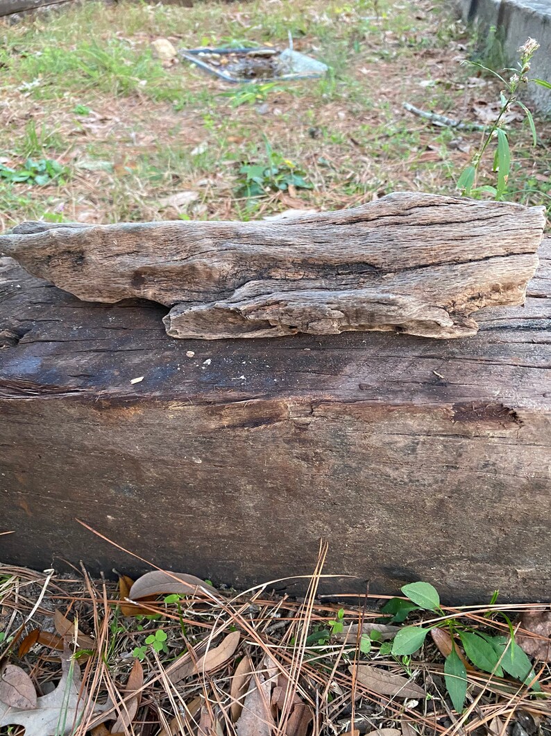 Driftwood Plank Log 12 - Etsy
