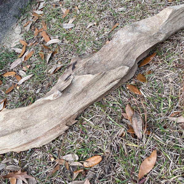 Extra Large Driftwood - Etsy