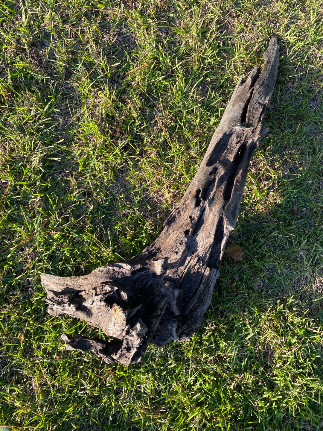 Heavy Driftwood Root Decor - Etsy