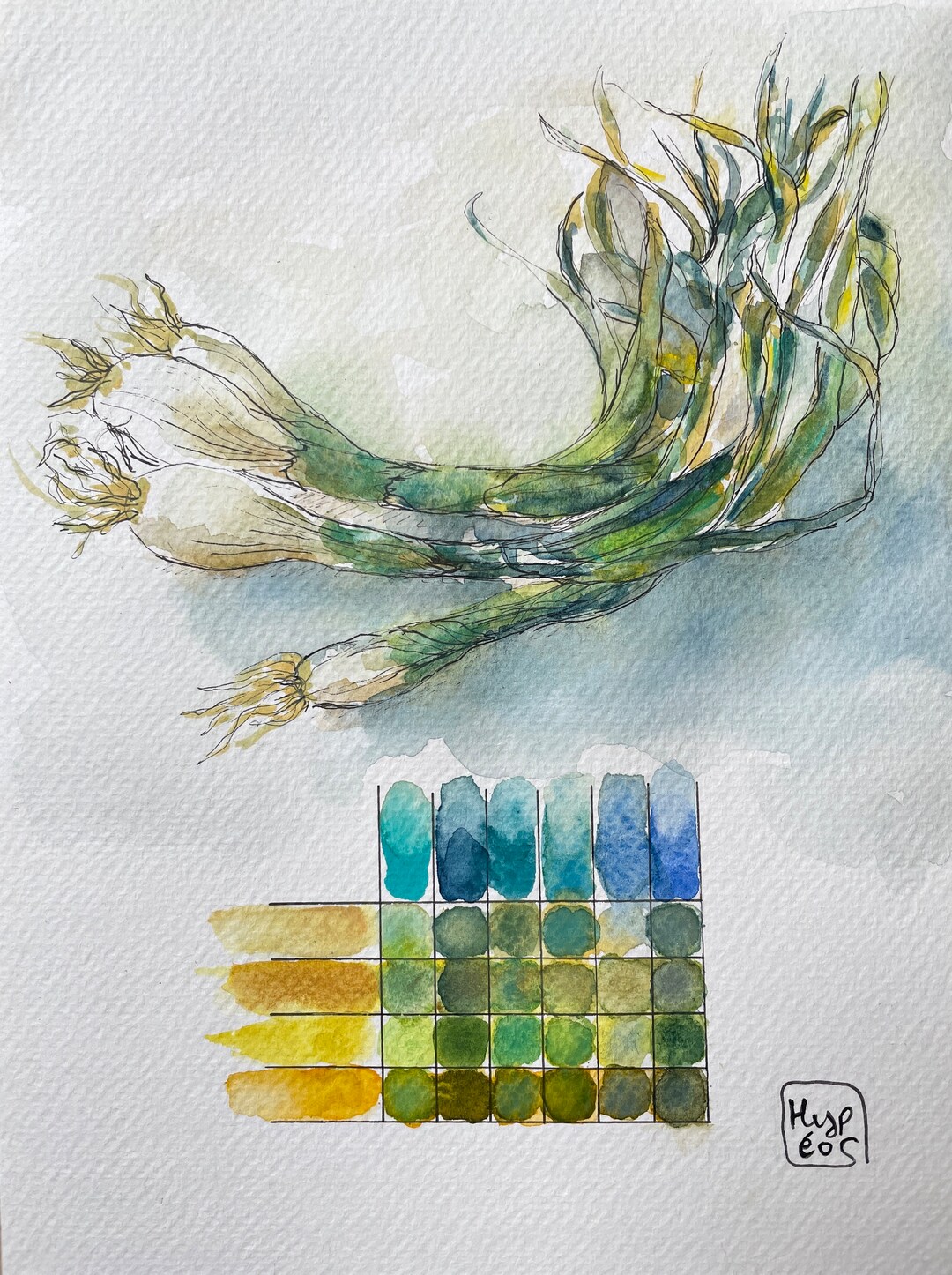 Spring Onions Original Watercolor and Ink Hand Painted on Quality Paper ...