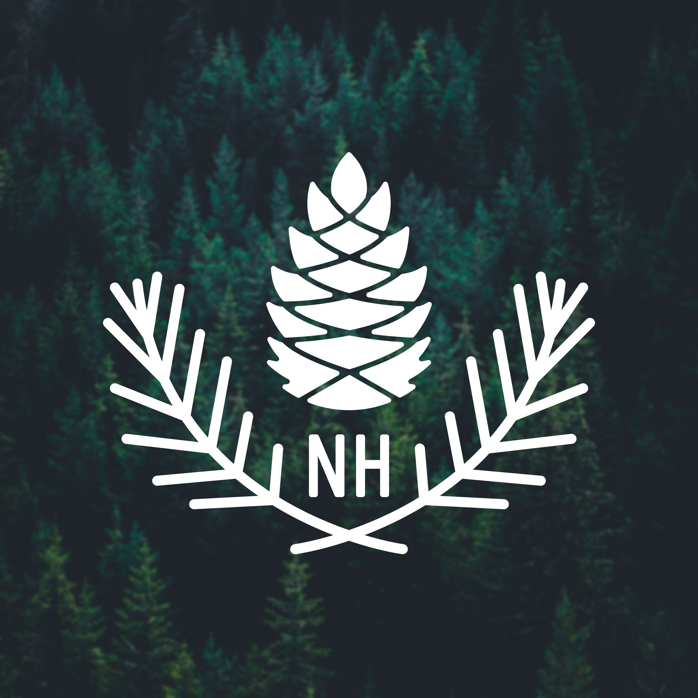 Pine Cone Decals | Etsy