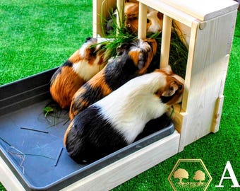 guinea pig tray