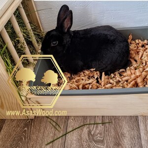 Rabbit Hay Feeder With Litter Box / Made by Asaswood - Etsy