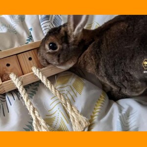 Rabbit Toy, Logic Game for Bunny Rabbit, Wooden Toy With Sisal Rope ...