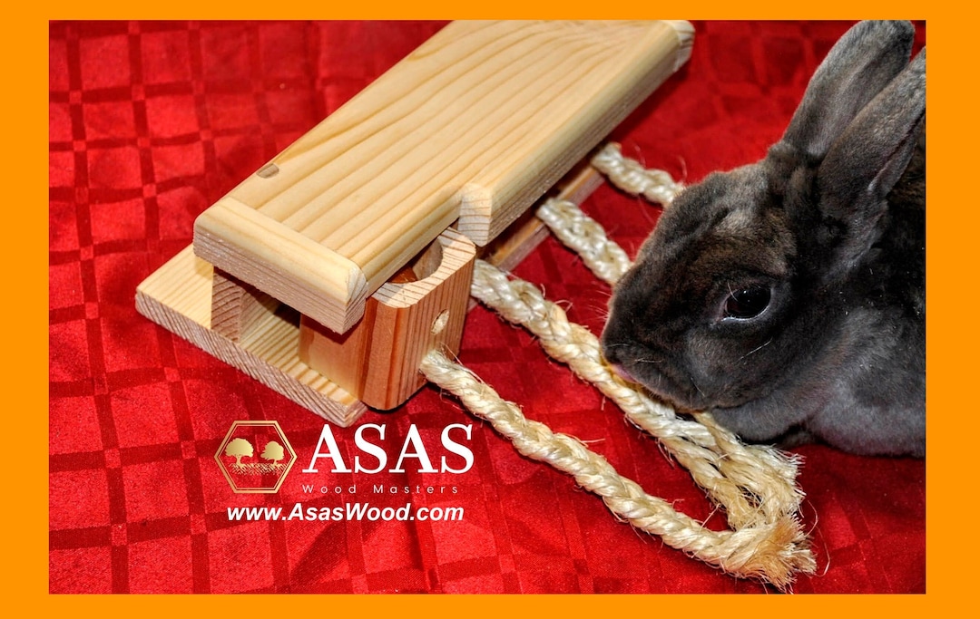 Rabbit Toy, Logic Game for Bunny Rabbit, Wooden Toy With Sisal Rope ...