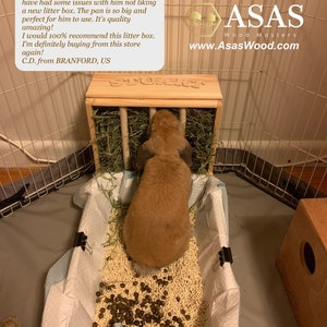 Rabbit Hay Feeder With Litter Box / Made by Asaswood - Etsy