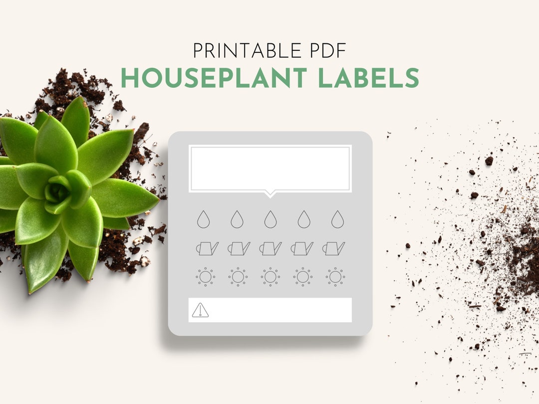 Plant Care Cards, Plant Labels, Printable Plant Care Instructions Tag ...