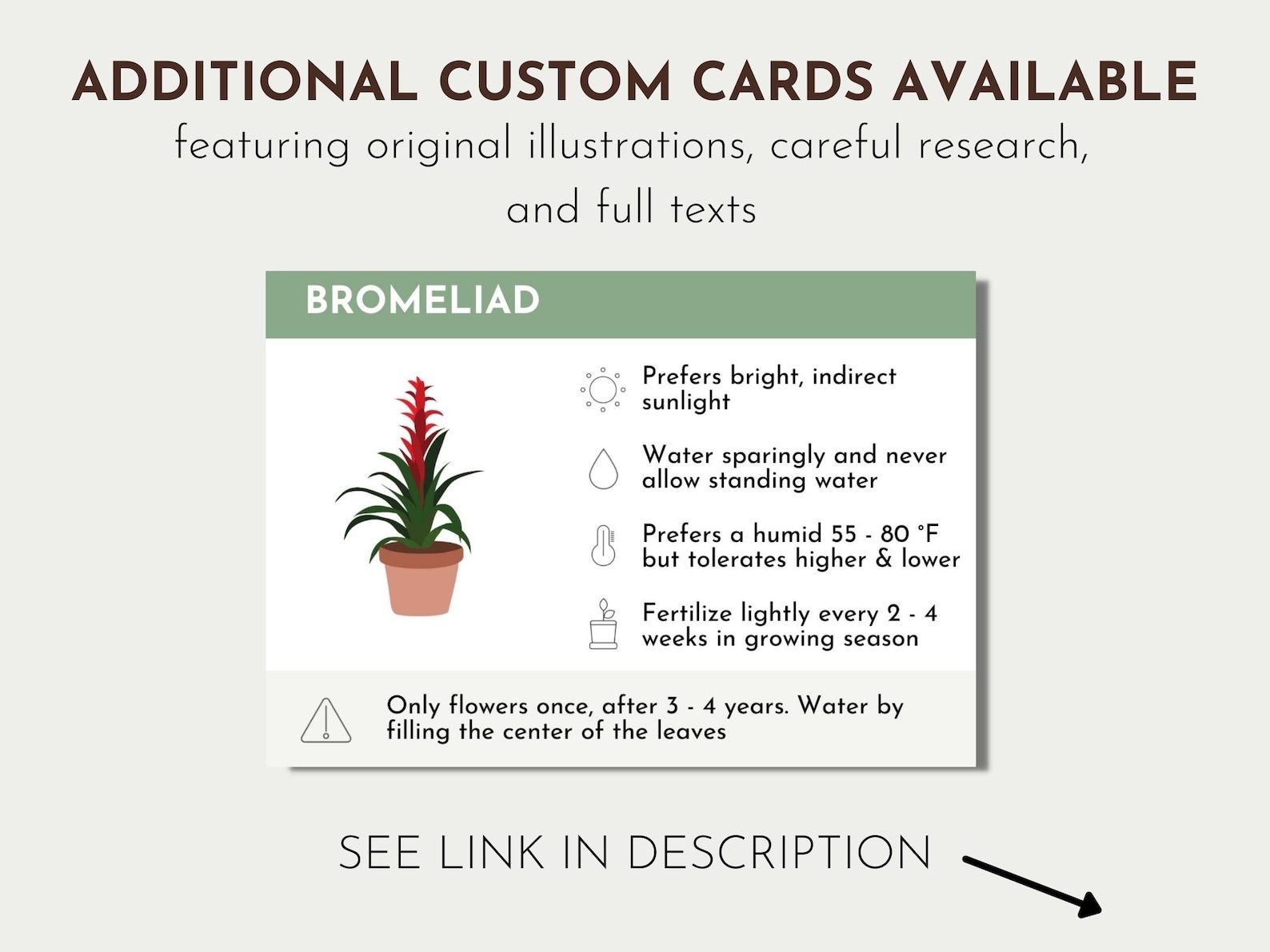 Plant Care Cards Plant Labels Indoor Printable Plant Care - Etsy