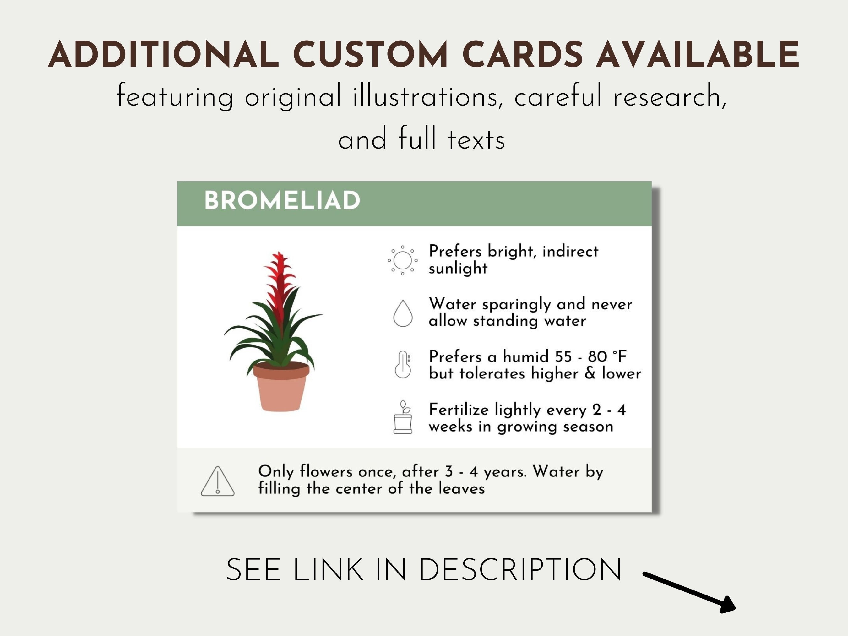 Plant Care Cards Plant Labels Indoor Printable Plant Care - Etsy