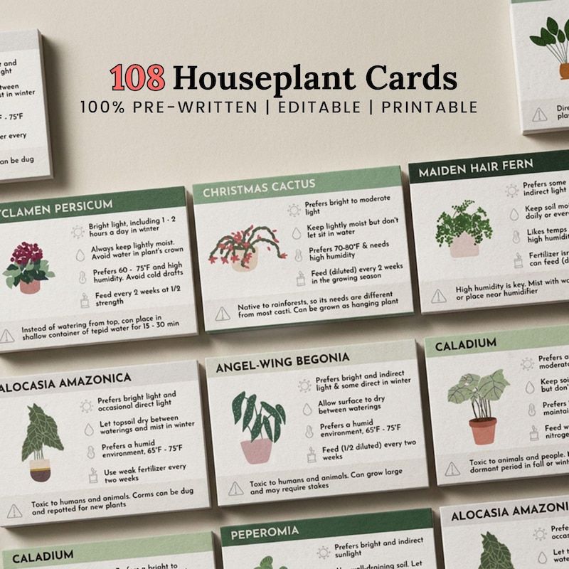 Plant Name Stakes Indoor - Etsy