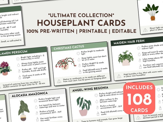Plant Care Cards Plant Labels Indoor Printable Plant Care - Etsy