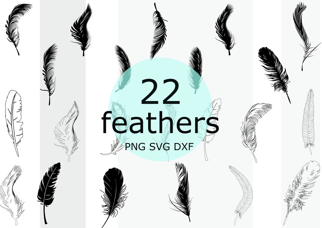 Feather Svg Bundle, Feahter Svg, Feathers Svg, Feathers Silhouette Svg ...