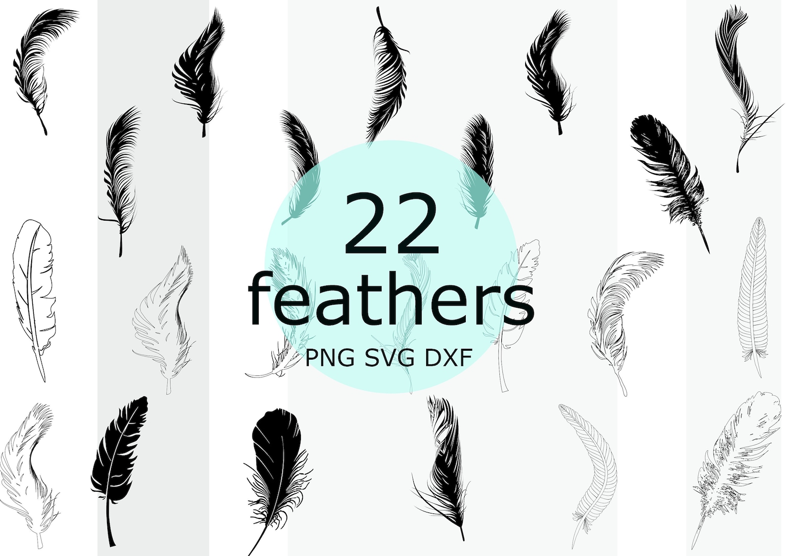 Paquet de svg de plume, svg de Feahter, svg de plumes, svg de ...