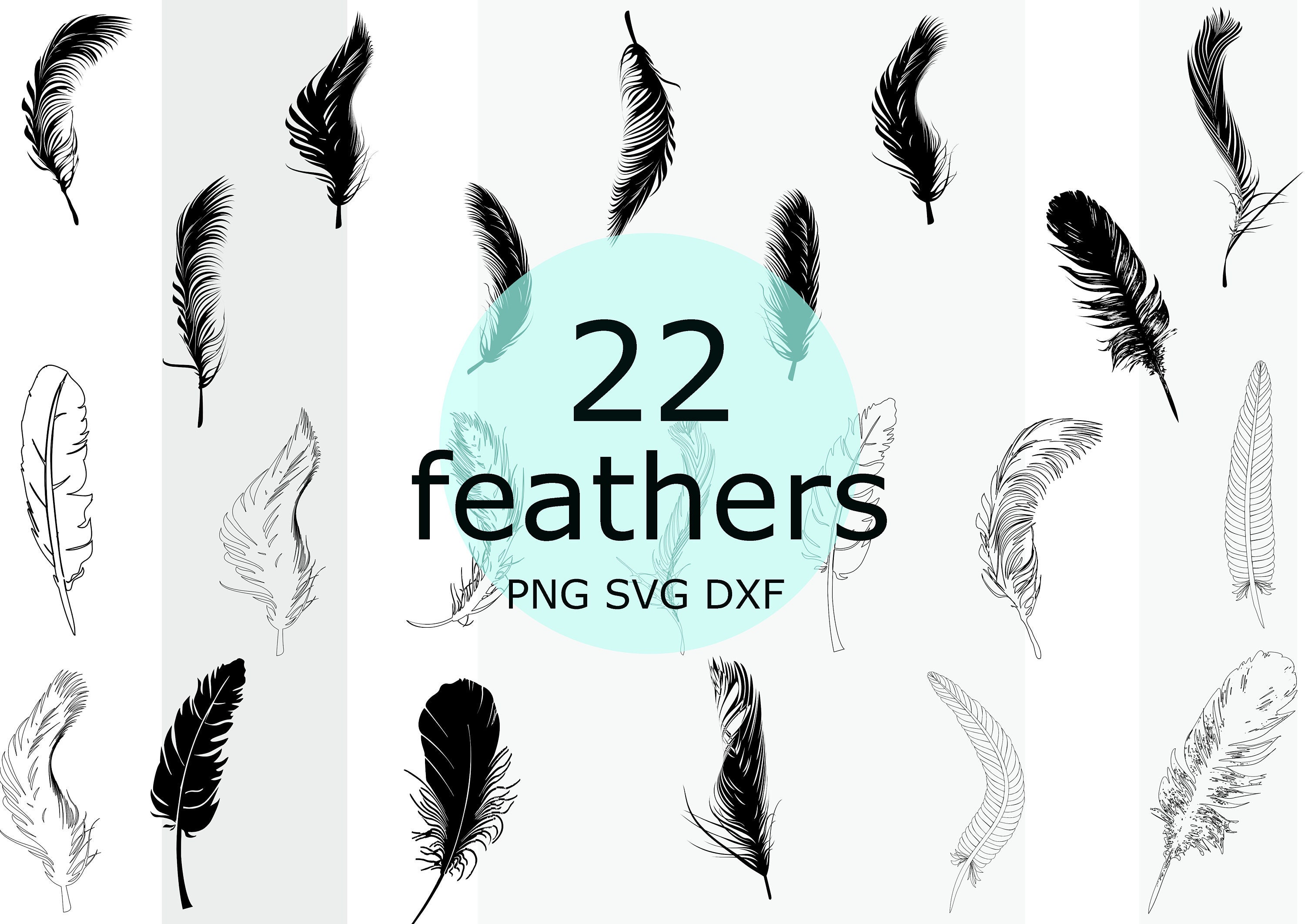 Falling Feather Png