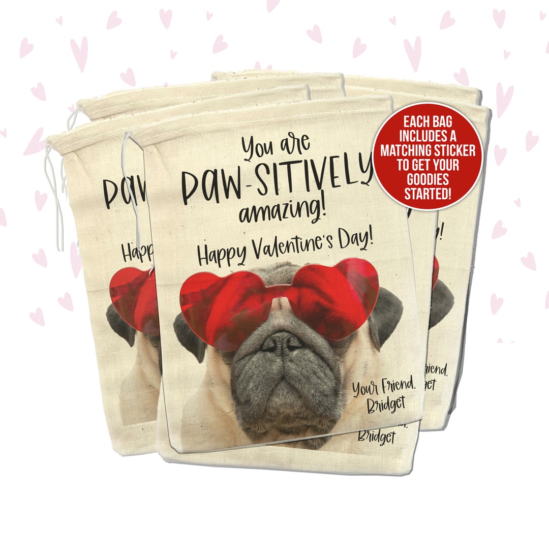Valentine's Day Treat Bag | Paw-sitively Amazing Cute Pug Party Favor ...