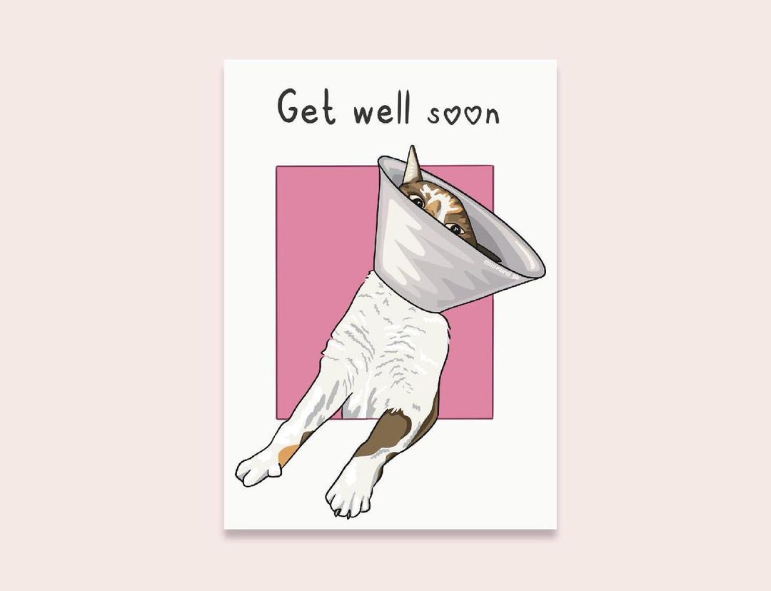 Cute Get Well Soon Card – Funny Cat With Cone | Feel Better Gift ...