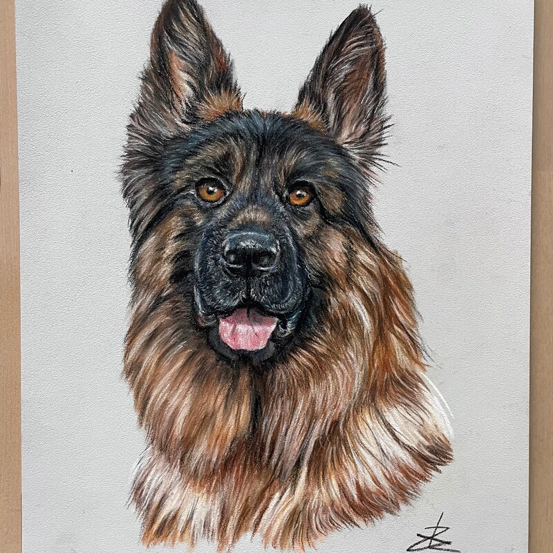 Animal Drawing - Etsy