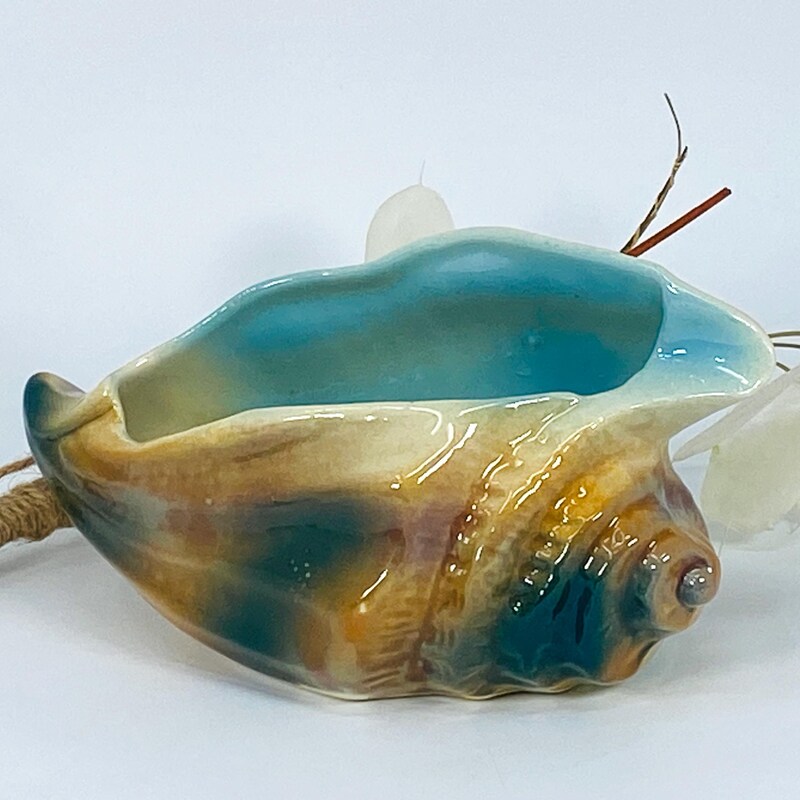 Conch Shell Planter - Etsy