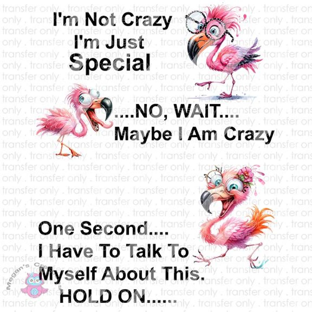 I'm Not Crazy I'm Just Special Flamingo Funny PNG, Digital Download - Etsy