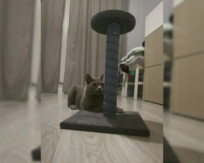 Purple Free Standing Scratching Post the Tower Scratcher - Etsy Canada