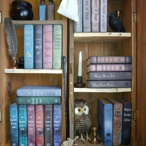 Large Bundle of 9 Wizarding Prop Books - Etsy