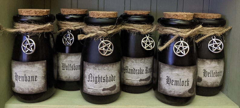 Potions and Poisons Prop Book With Optional Potions - Etsy
