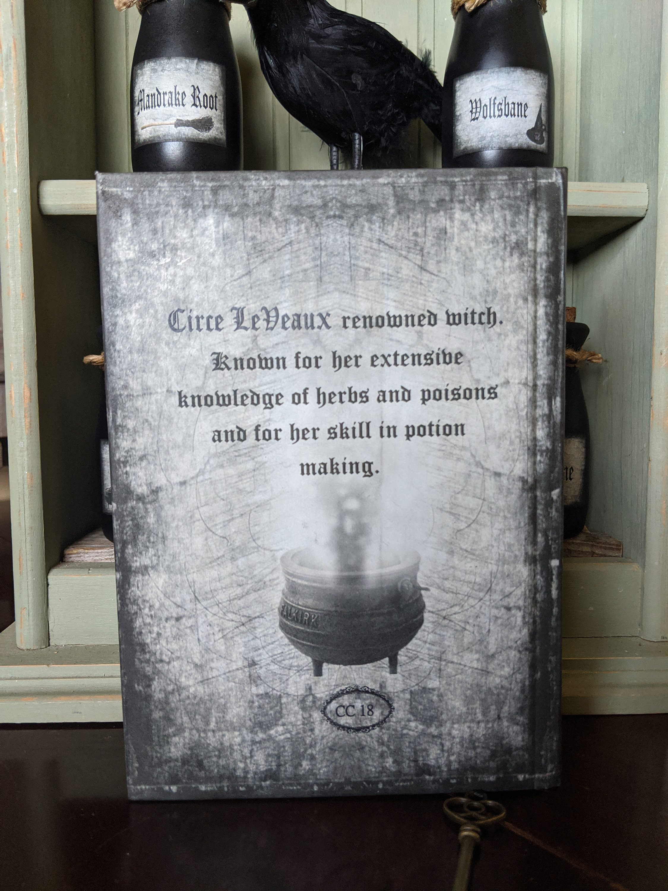 Potions And Poisons Prop Book with Optional Potions | Etsy