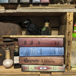 Wizarding Prop Books | Etsy