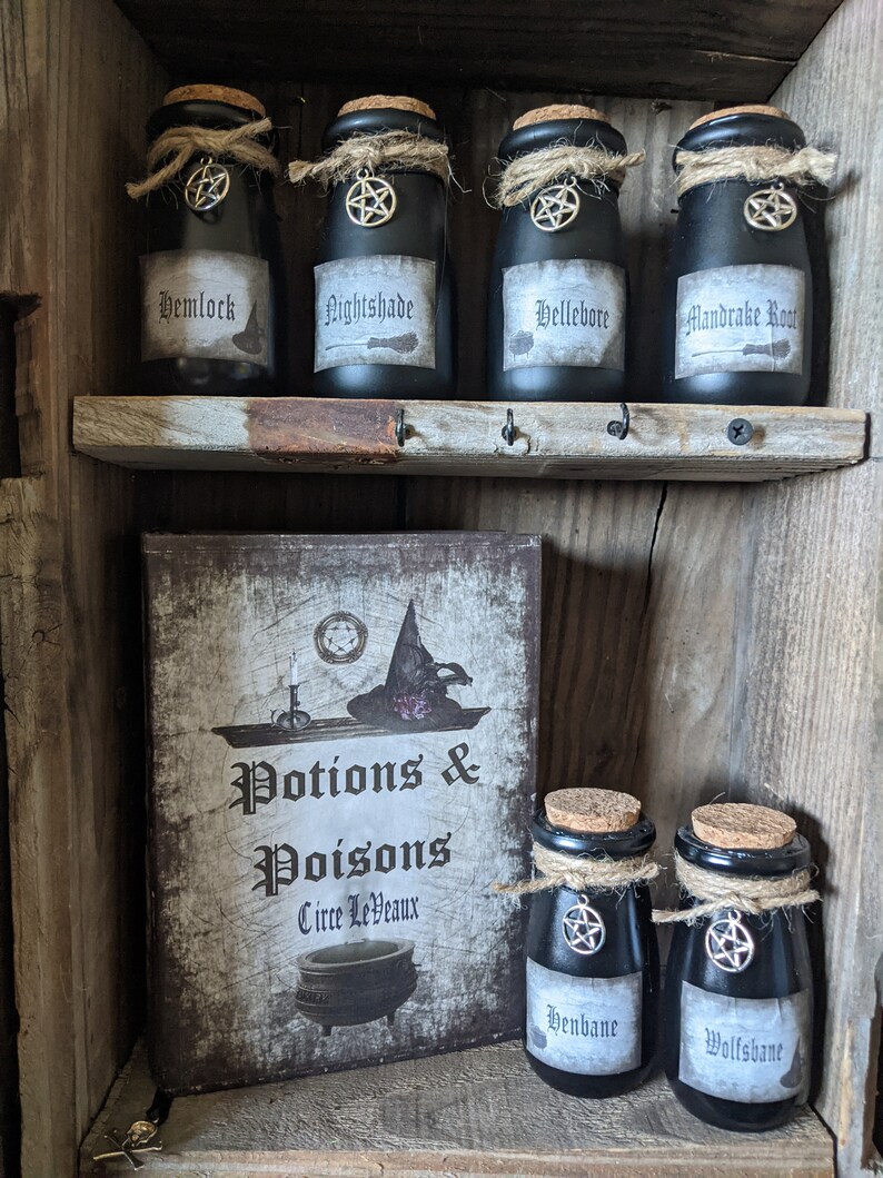 Potions and Poisons Prop Book With Optional Potions - Etsy