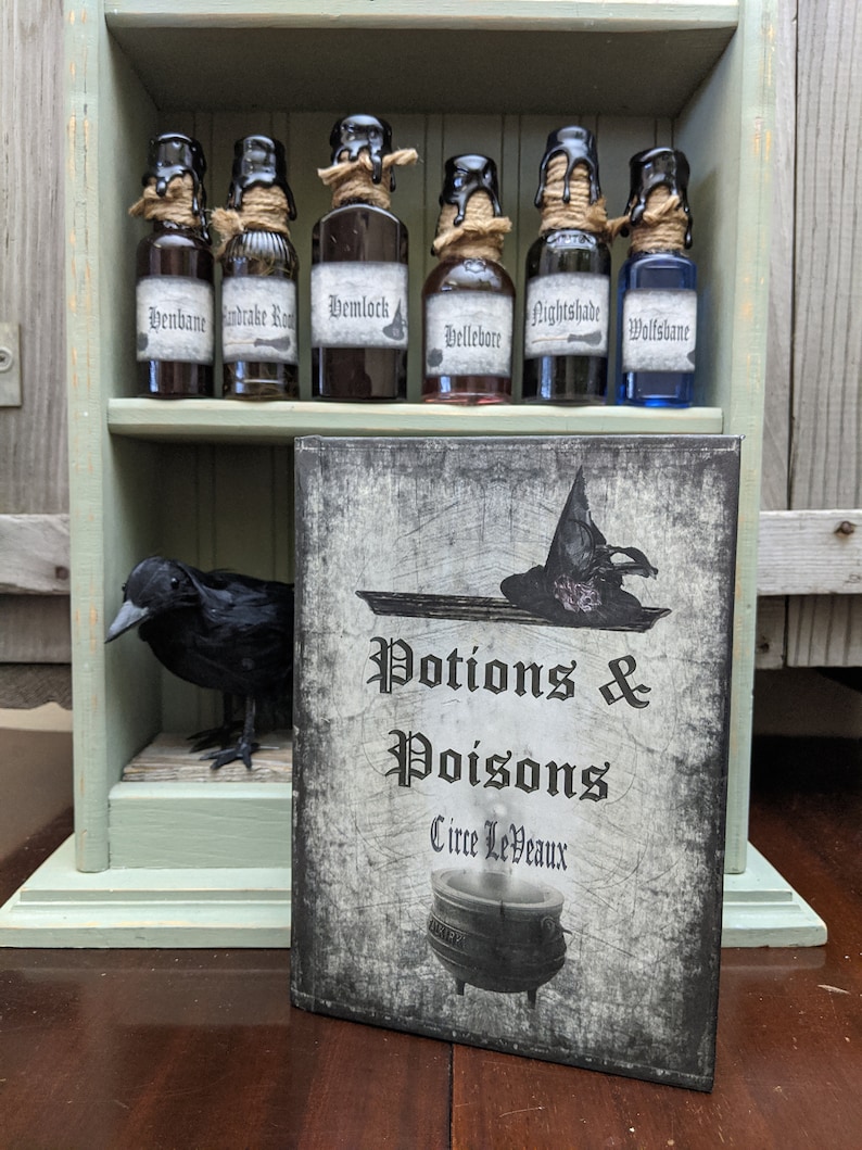 Potions and Poisons Prop Book With Optional Potions | Etsy