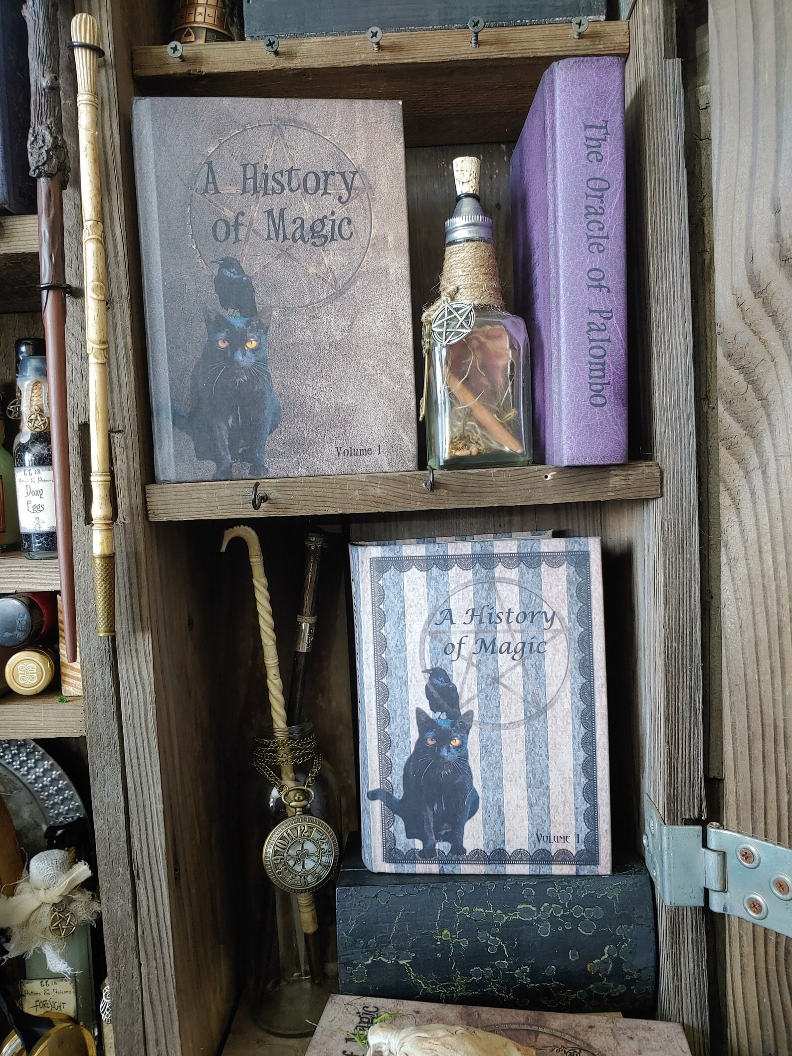 A History of Magic Prop Book - Etsy