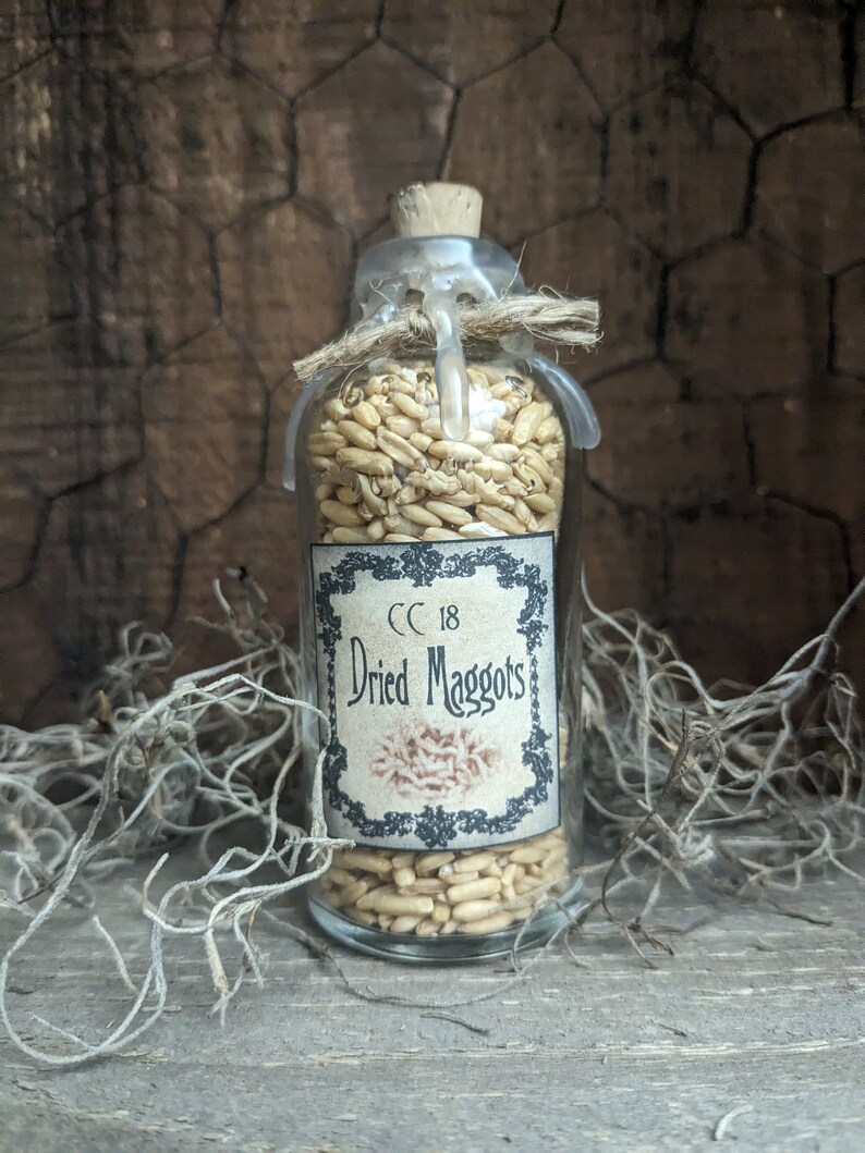 Dried Maggots -magic, Potion, Potion Ingredients, Apothecary, Halloween ...