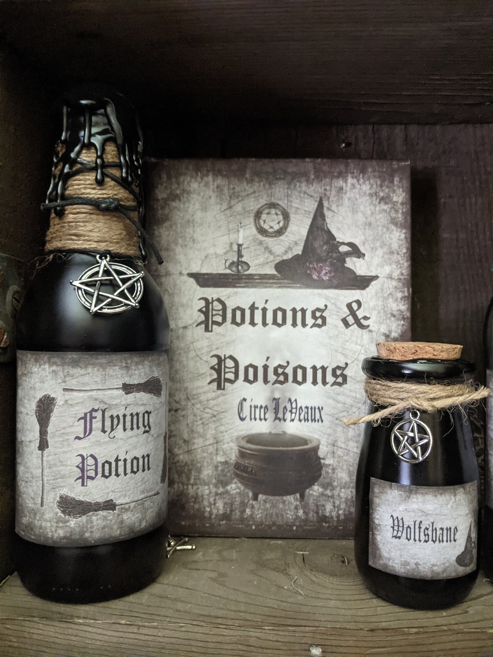 Potions and Poisons Prop Book With Optional Potions - Etsy