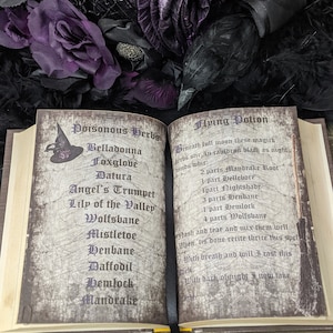 Potions and Poisons Prop Book With Potion Options - Etsy