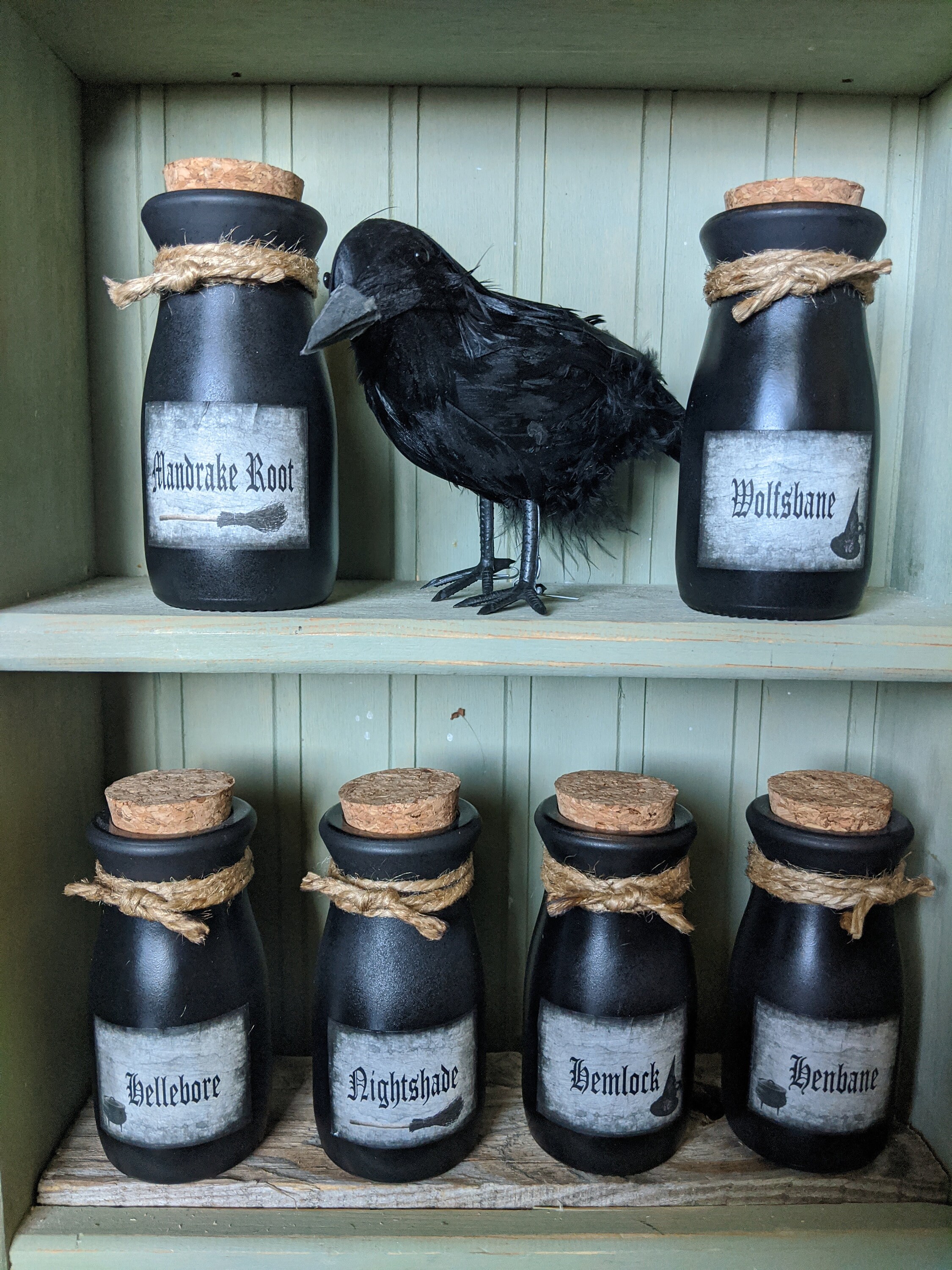 Potions And Poisons Prop Book with Optional Potions | Etsy