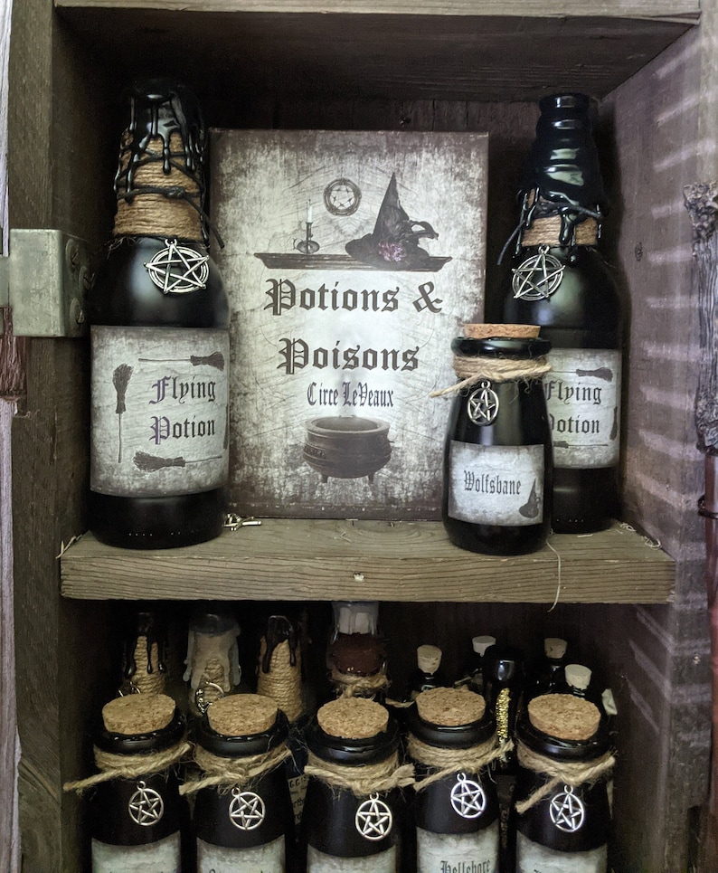 Potions and Poisons Prop Book With Optional Potions - Etsy