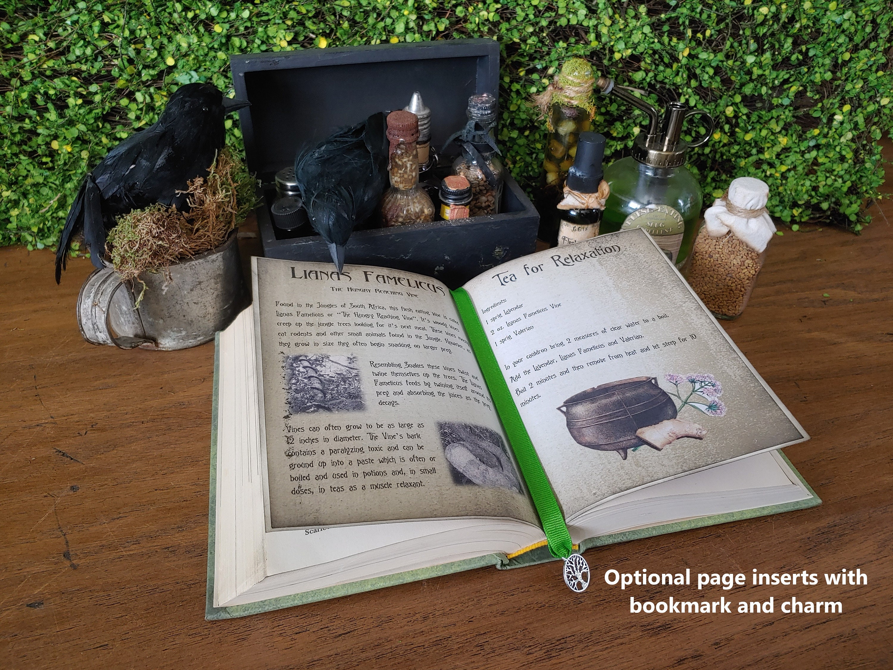 Bundled Wizarding Prop Books - Etsy