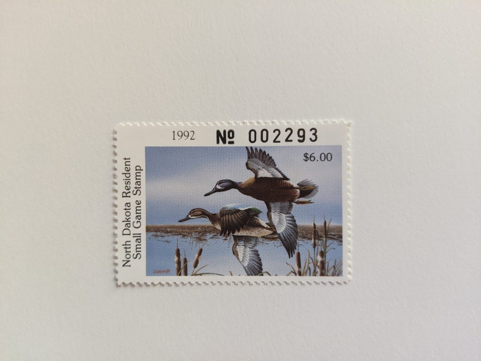 Blue Winged Teal Signed, Limited Edition Lithograph, With Stamp ...